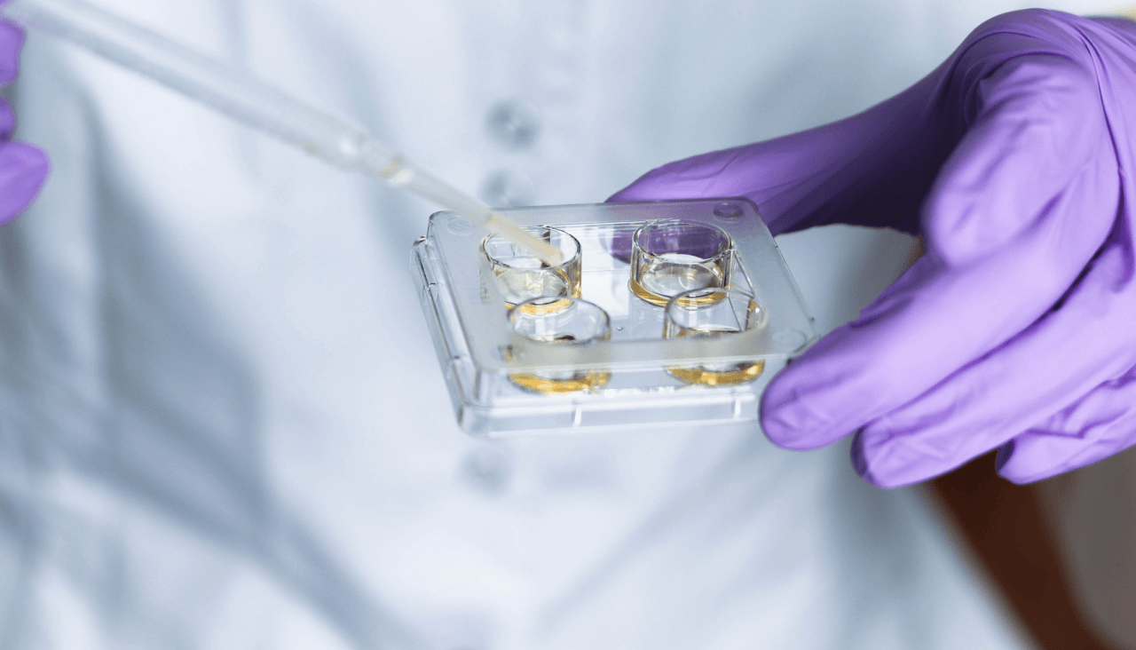 Health Tech - Pi Capital